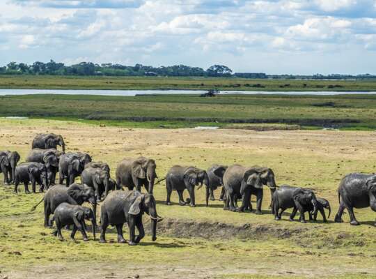 Botswana Holidays | Safari Holidays & Tours In Botswana