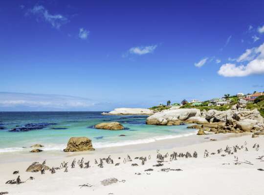 Botswana Holidays | Safari Holidays & Tours In Botswana