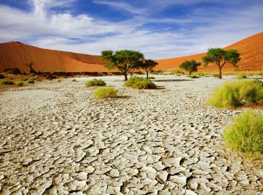 Namibia Holidays | Safari Holidays & Tours In Namibia